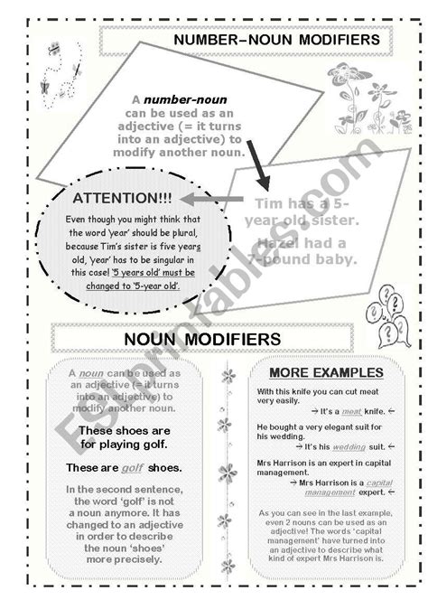 Number Noun Modifiers Exercises Tawana Foltzs English Worksheets