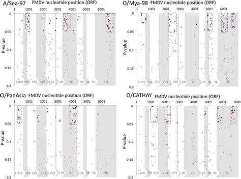 Within Lineage Recombination Breakpoints Detected By Homoplasy Tests