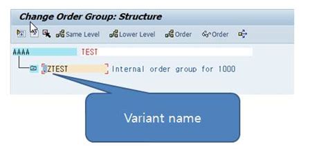 Solved Internal Order Group Assignment Of Orders From Ot Sap Community