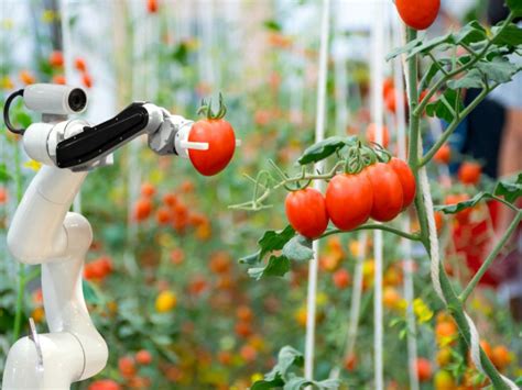Smart Farming Aumenta Calidad En Producción Agrícola Aristóteles Vaca