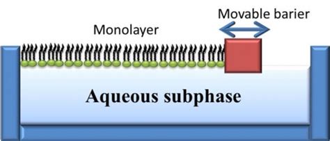 Langmuir Trough Itn Snal Marie Curie Initial Training Network
