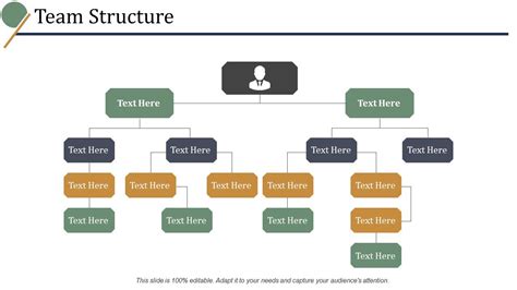team structure ppt powerpoint presentation styles template