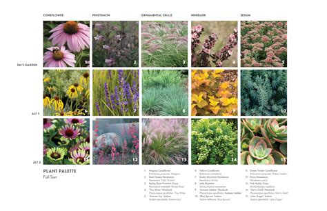 What Is A Natural Garden How Do You Create A Garden Color Palette