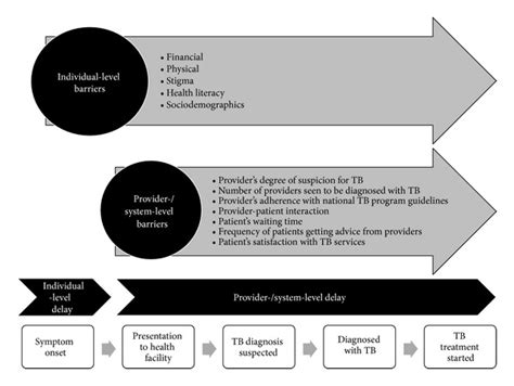 Conceptual Framework Illustrating Barriers And Delays That Limit Access