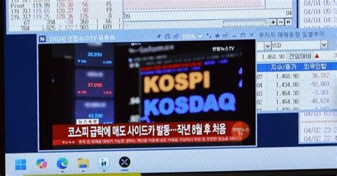 롤러코스터 장세에 코스피 사이드카 발동올해만 두번째