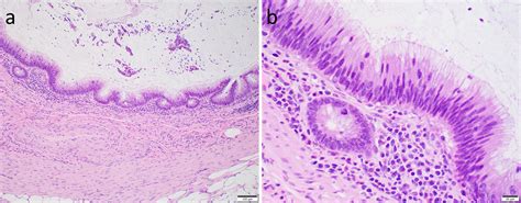 Xia And He Publishing
