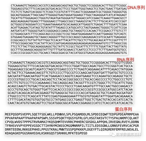 FASTA序列格式介绍 腾讯云开发者社区 腾讯云