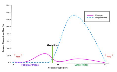 Progesterone PMS PMT Progesterone