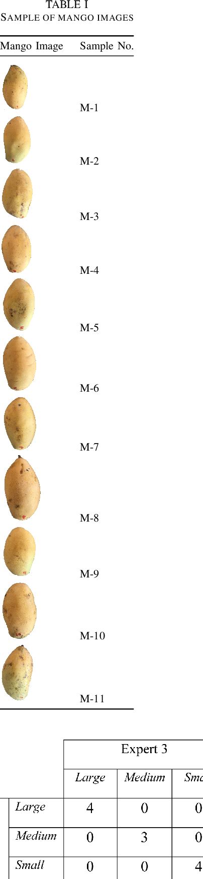 Table I From Towards Capturing Mango Grading From Human Experts A