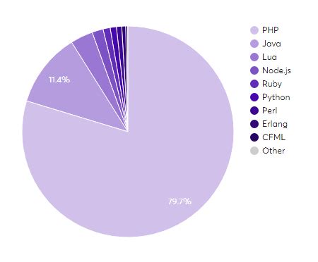 Reasons To Choose PHP For Your Next Web Project The Right Software