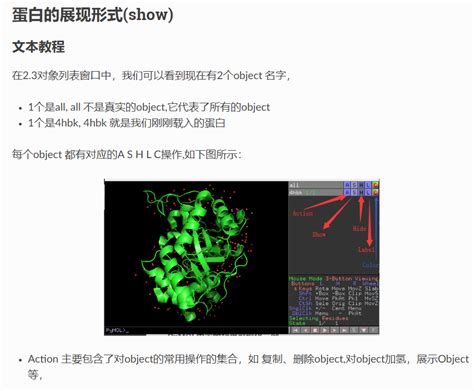 搭配pdb使用pymol蛋白pdb格式下载步骤 Csdn博客