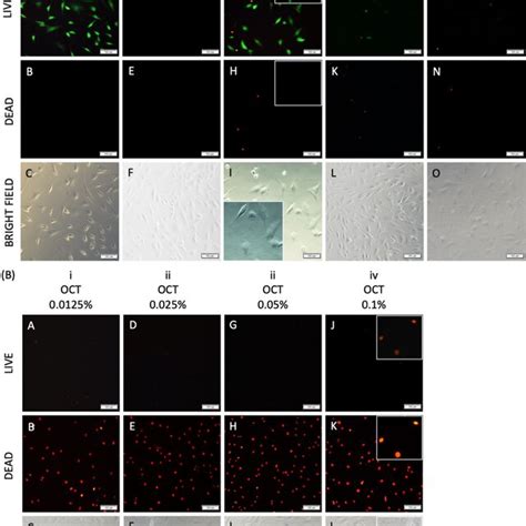 Effects Of Octenidine Dihydrochloride On The Viability And Download Scientific Diagram