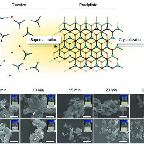A General Scheme Of Crystallization Course Of Rods The Turbidity Of