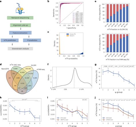 Simultaneous Nanopore Profiling Of Mrna M6a And Pseudouridine Reveals