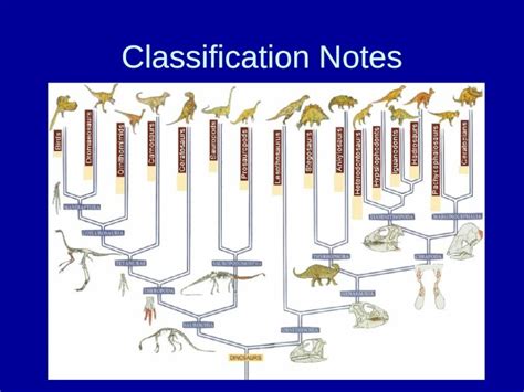 Ppt Classification Notes Taxonomy Naming And Grouping Organisms