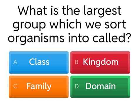Classification Of Animals Quiz