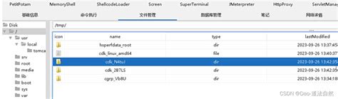 day96：云上攻防 云原生篇anddocker安全and系统内核and版本漏洞andcdk自动利用and容器逃逸 csdn博客