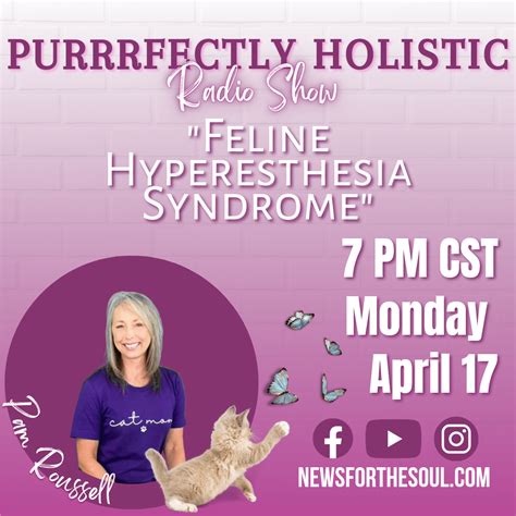 Feline Hyperesthesia Syndrome Purrrfectly Holistic