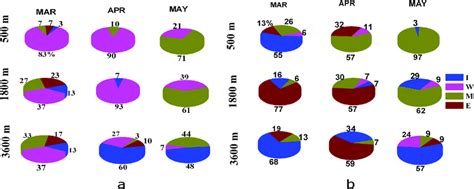 Pie Chart Representation Of The Percentage Contribution From The