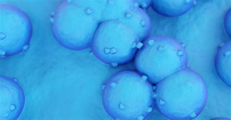 Recent Developments In Targeted Therapy For Non Small Cell Lung Cancer