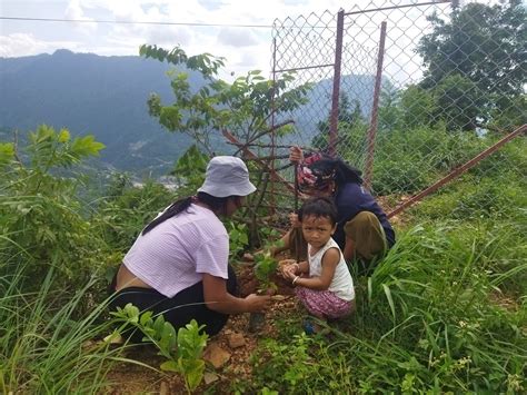 Home Mdo Mutual Development Organization Nepal