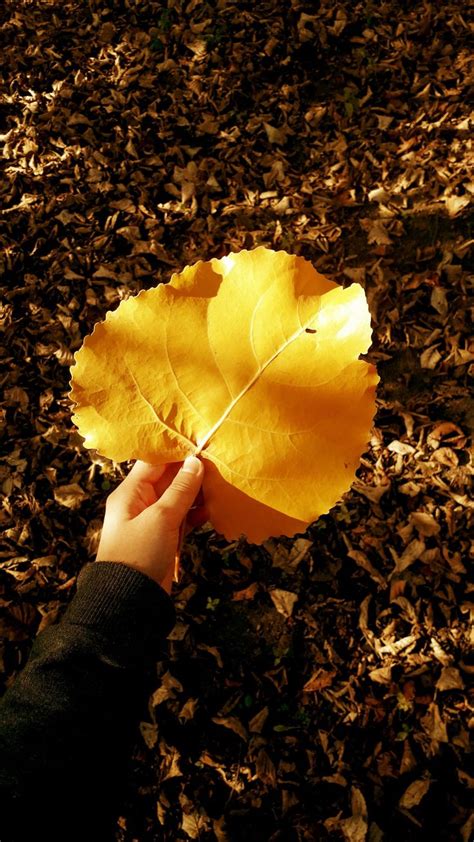 「gözümün Gördüğü」おしゃれまとめの人気アイデア｜pinterest｜lilya