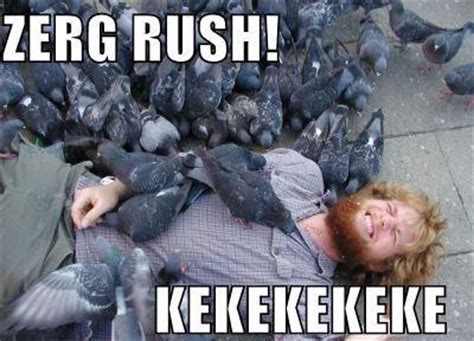 Memes That Have Spawned From Starcraft Green Man Gaming Blog