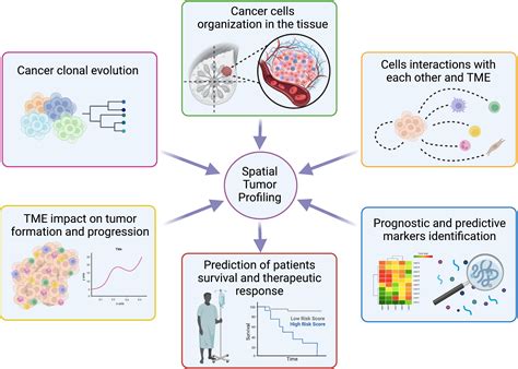 Frontiers The Role Of Tumor Microenvironment In Drug Resistance Emerging Technologies To