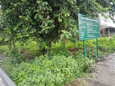 ขายที่ดินบ้านแม่โป่งดอยสะเก็ตแปลงเล็กพร้อมโอนราคาถูก ที่ดินร้อยแปด คอม