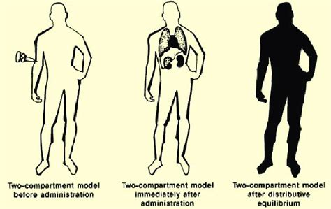 drug distribution in one and two compartment models the download