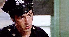 Are You Out Of Your Corn Fed Mind Porn Photo Pics