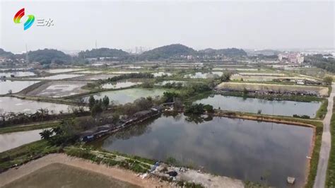 坐标白坭！佛山首宗区级组织网上竞投集约零散土地项目成功签约澎湃号·政务澎湃新闻 The Paper