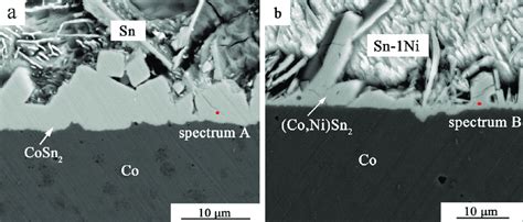 Cross Sectional Microstructure Of A Sn Co Solder Joints And B Download Scientific Diagram