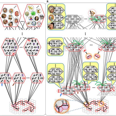 comparison of a localist a and an sdc based b hierarchical vision download scientific
