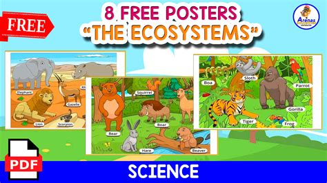 8 Free Posters The Ecosystems By Teach Simple