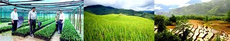 State Farmers Portal Agriculture Department