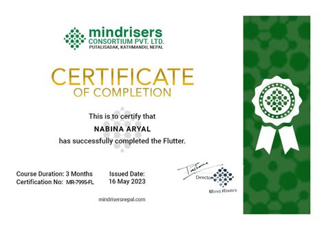 Nabina Aryal On Linkedin Flutter Flutterdeveloper Mindrisers