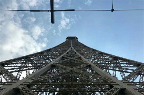 2024埃菲尔铁塔周围一幢高楼大厦都没有不论身处在这附近哪里抬头就可以看到这座壮观的铁塔一层有一 埃菲尔铁塔 评论 去哪儿攻略