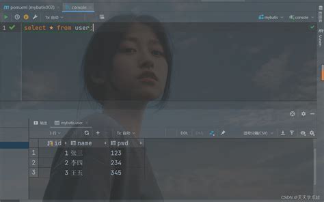 如何用idea创建mybatis项目（图文详解） Csdn博客