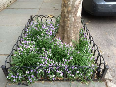 Tree Pit Plants Enhance Your Street Garden With Beautiful Plants