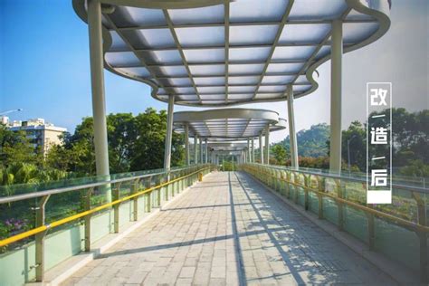 美了美了！罗湖6座人行天桥改造完成，在你家附近吗？ 搜狐大视野 搜狐新闻