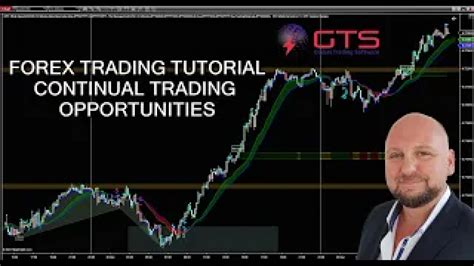 NinjaTrader Forex Trading Tutorial Continuous Forex Trading Opportunities Global Trading