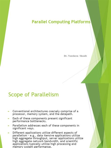 Parallel Computing Platforms Dr Nausheen Pdf