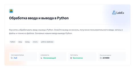 Обработка ввода и вывода в Python Labex