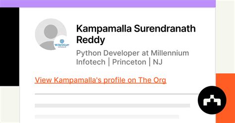 Kampamalla Surendranath Reddy Python Developer At Millennium Infotech