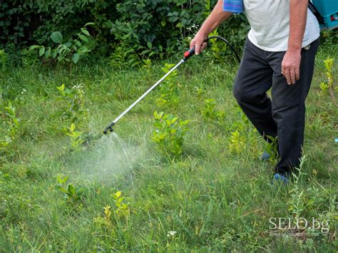 Забраняват пръскането с глифозат в селата вкл за третиране на зелени площи и тротоари Село