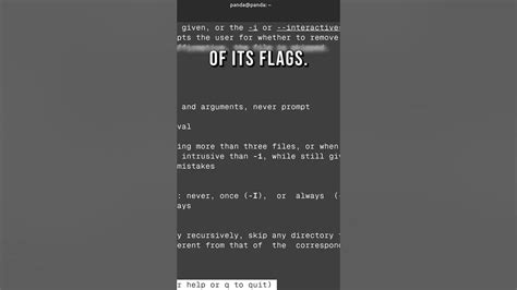 Everyone Needs To Know This Linux Shell Command Youtube