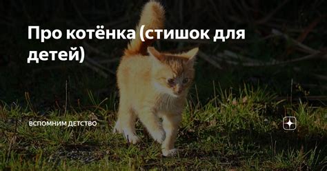 Про котёнка стишок для детей Вспомним детство Стихи для детей от автора Дзен