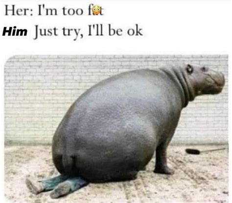 Best 13 27 Sex Memes For The Deranged And Deprived Artofit