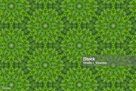 신선한 향기로운 민트 잎 배경 장식 디자인 템플릿 벽지에 대한 관목에 대한 스톡 사진 및 기타 이미지 관목 나뭇가지 녹색 Istock